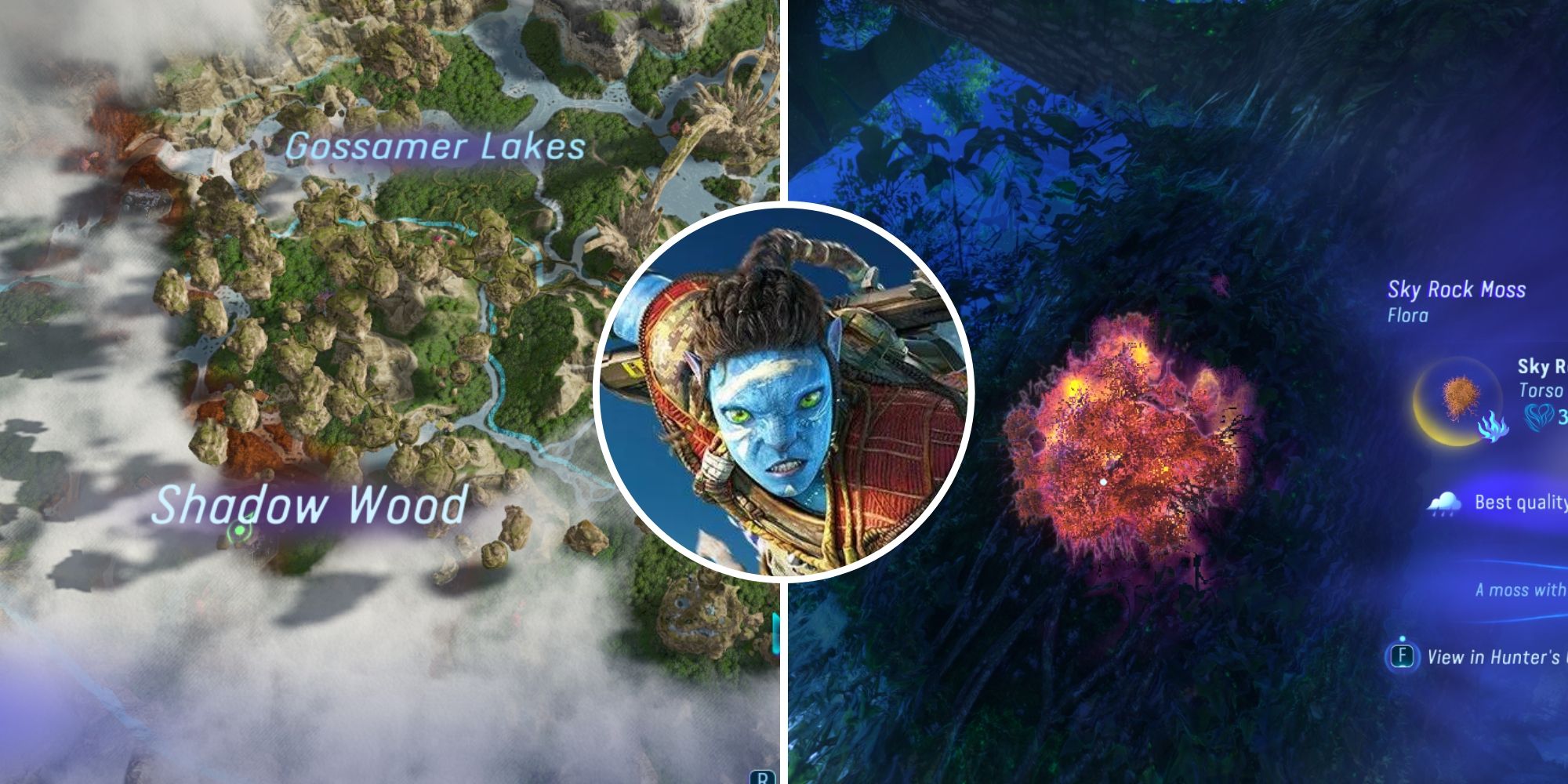 Avatar: Frontiers Of Pandora - Where To Find Moss