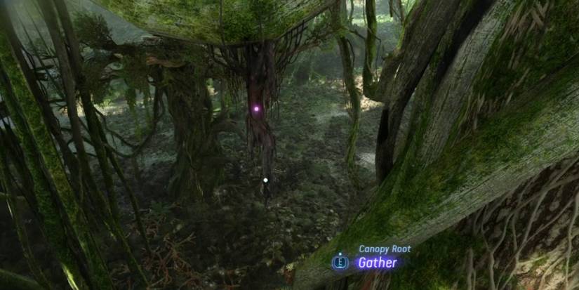Avatar: Frontiers Of Pandora - Where To Get Canopy Roots