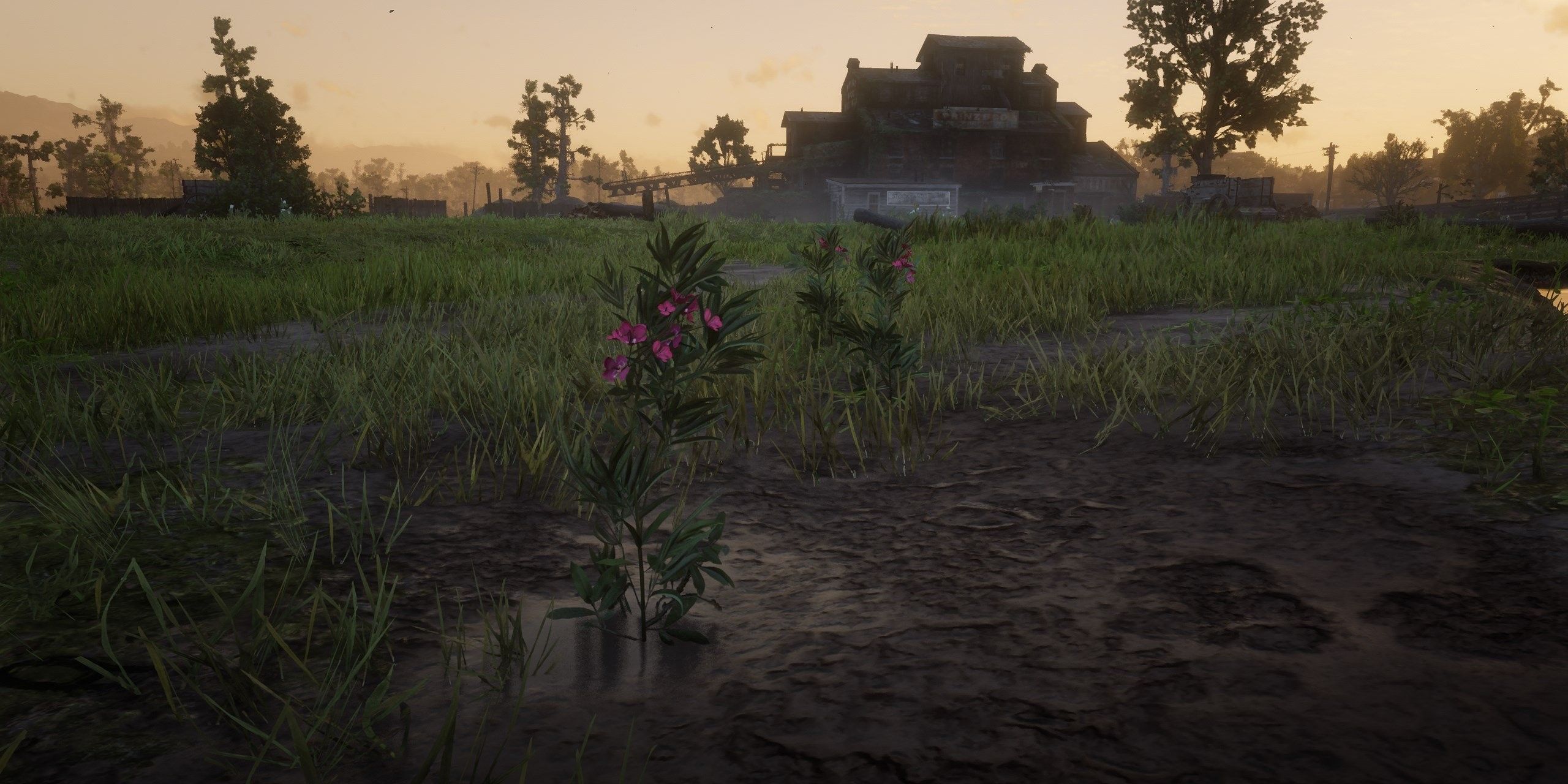 Red Dead Redemption 2: 10 Best Random Encounters, Ranked