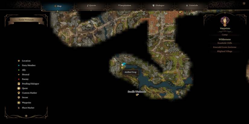 Baldur's Gate 3: What To Do With The Addled Frog