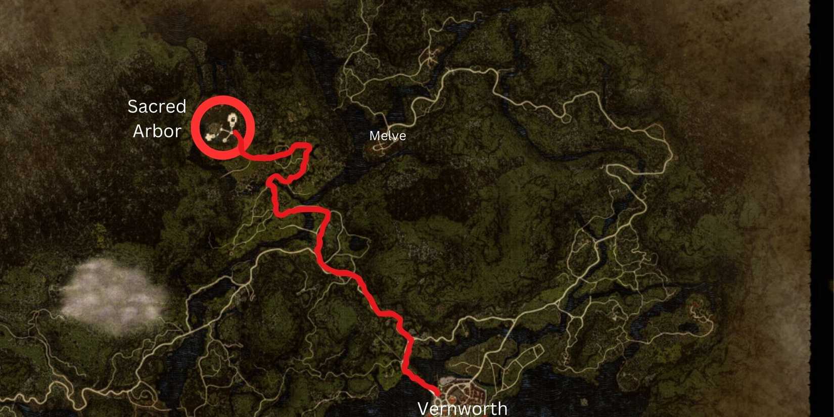 Dragon's Dogma 2: How To Reach Sacred Arbor Home Of The Elves