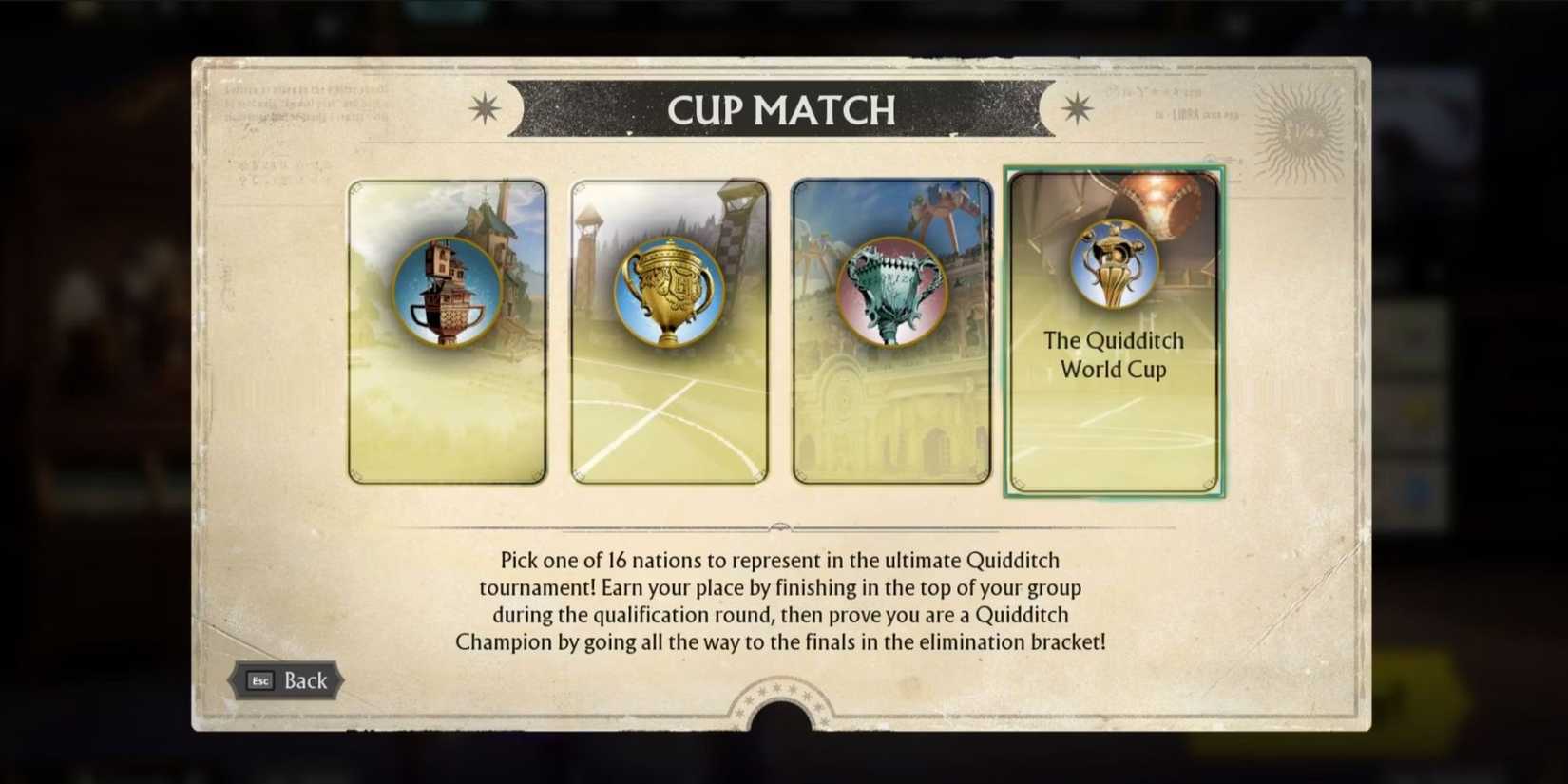 Harry Potter: Quidditch Champions: How To Unlock Each National Team