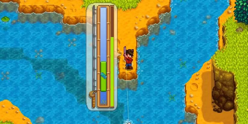 Stardew Valley: Where & When To Catch Every Fish