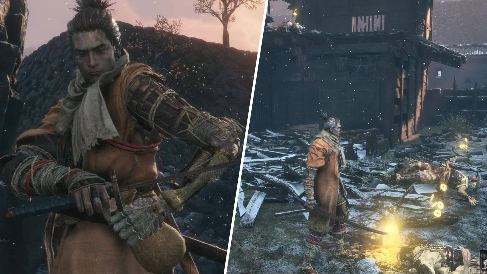 How to Collect Coins in Sekiro: Shadows Die Twice