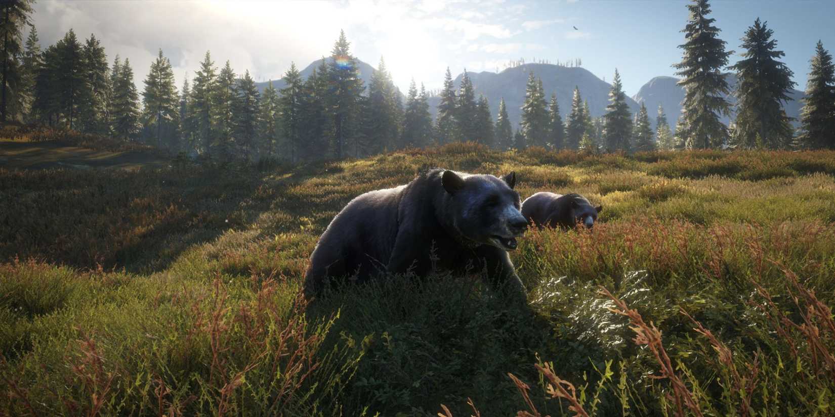 9 Niche Games With Surprisingly Large Player Bases