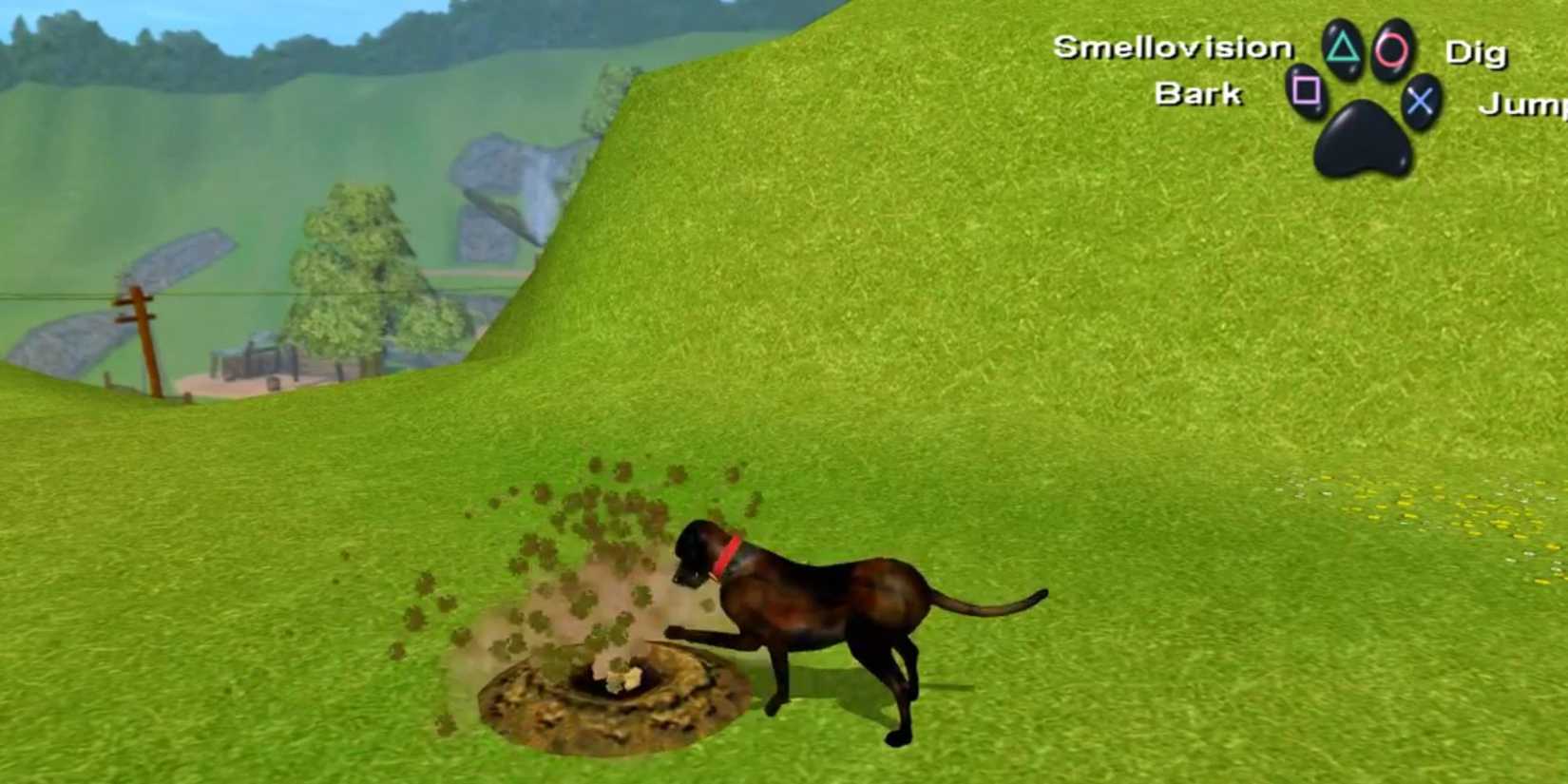 10 PS2 Cozy Games You Need To Play