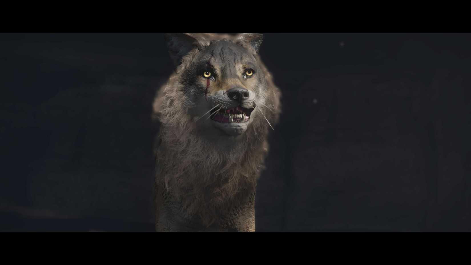 Kingdom Come Deliverance 2: How To Find Mutt