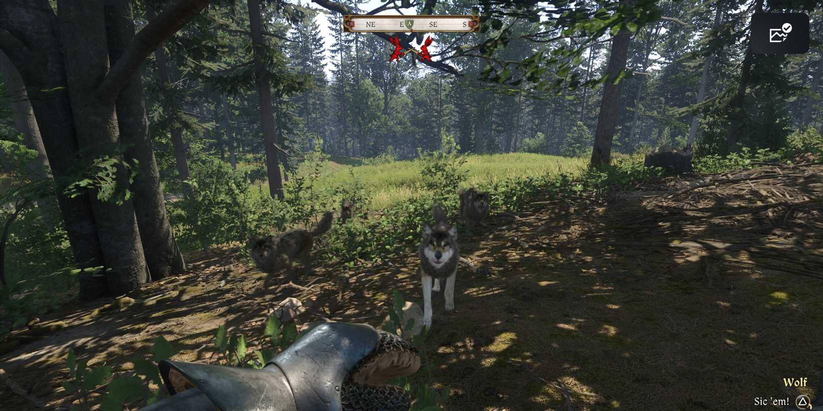 Kingdom Come: Deliverance 2: Carrot On A Stick Task Guide
