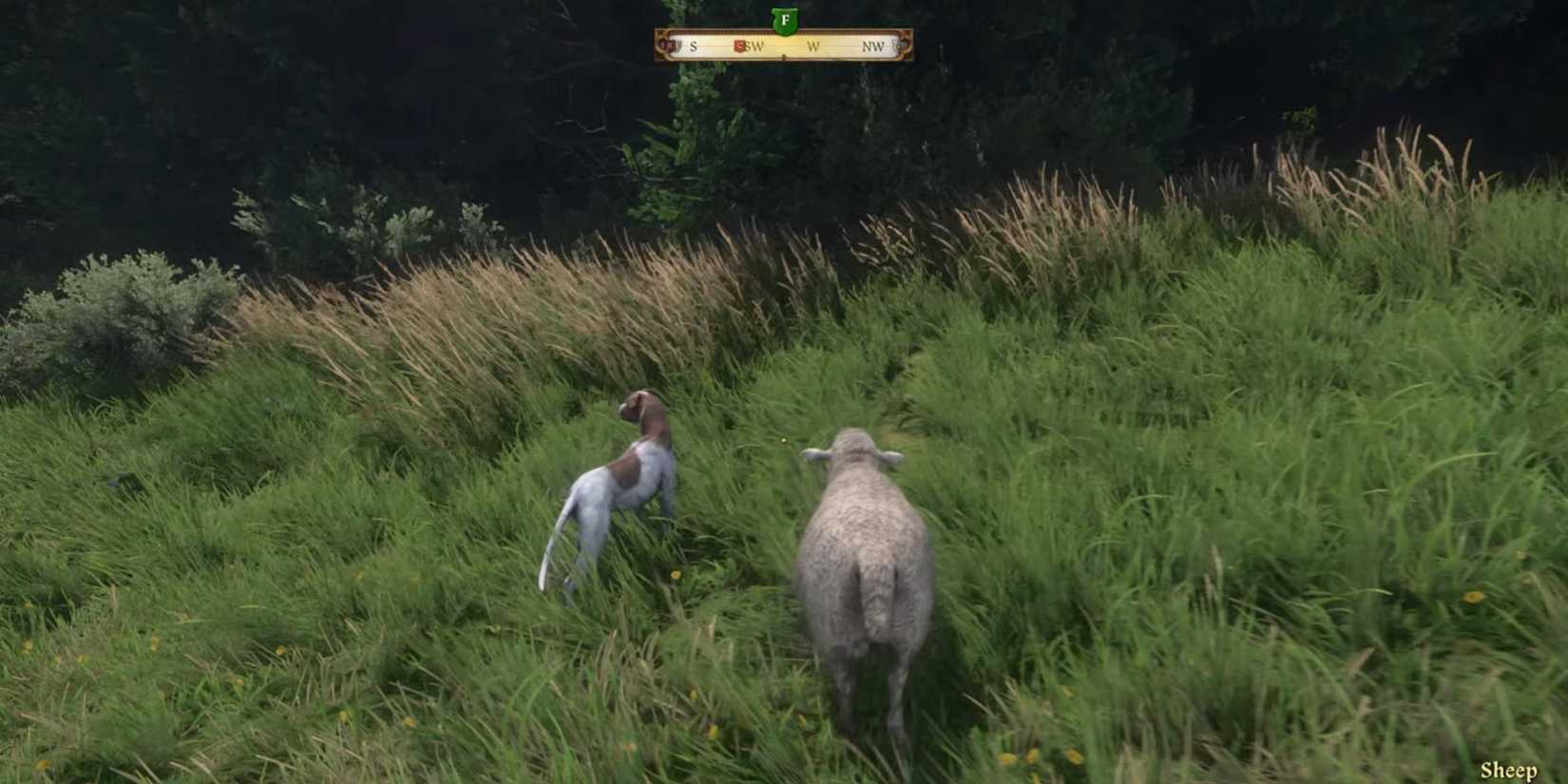 Kingdom Come: Deliverance 2: Frogs And Mice Side Quest Guides