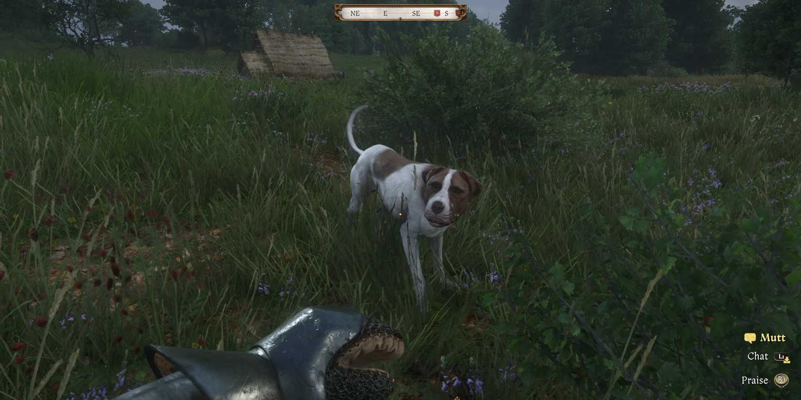 Kingdom Come: Deliverance 2: Sheep Among Wolves Task Guide