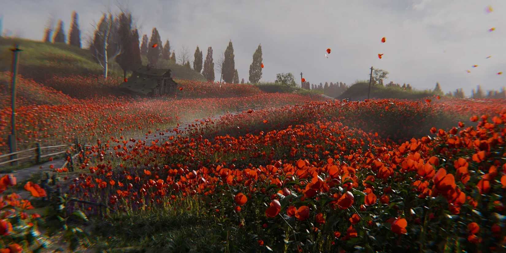 STALKER 2: 10 Weird Anomalies You Need To Visit