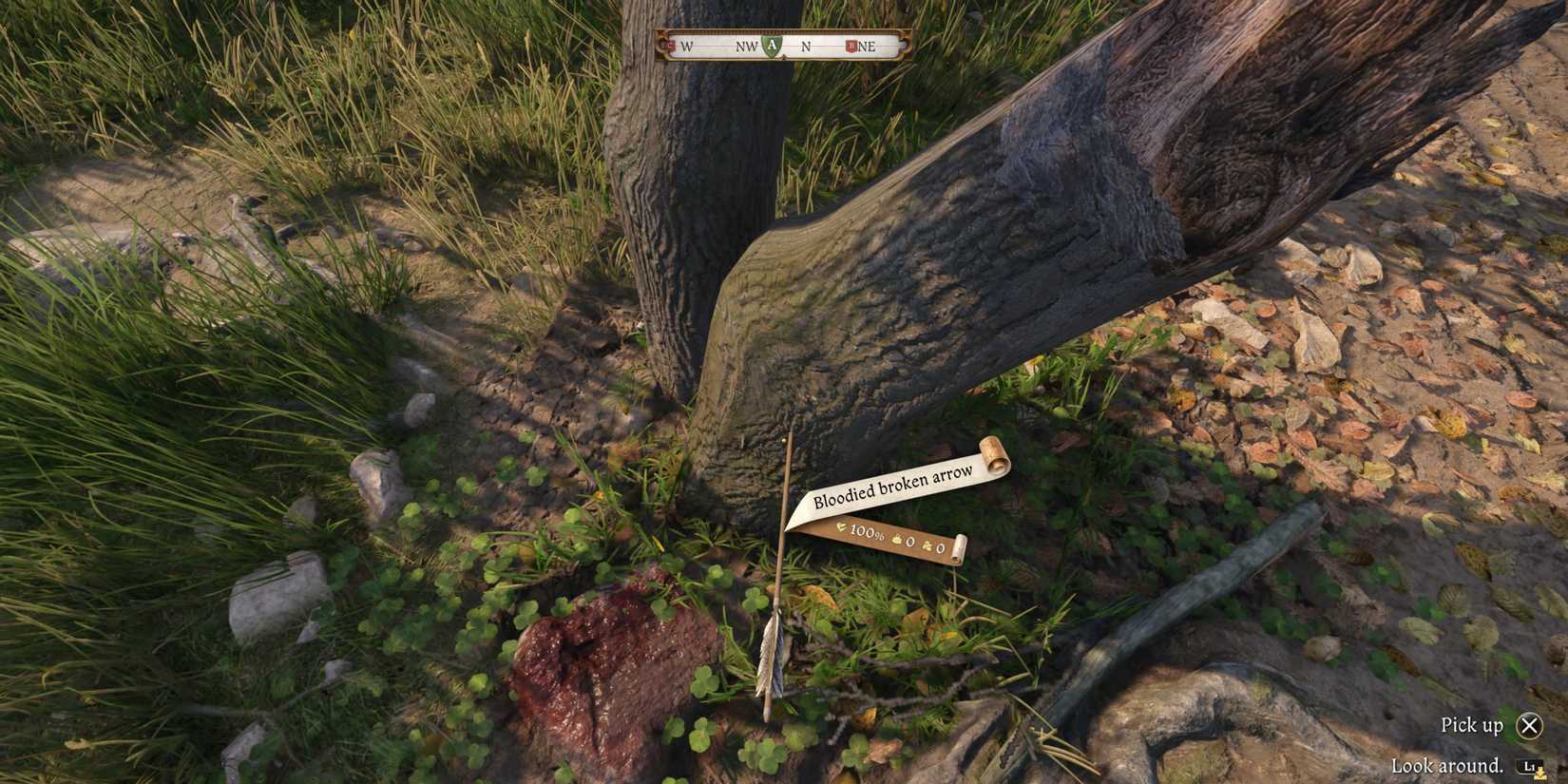 Kingdom Come: Deliverance 2: Hunting The Werewolf Task Guide