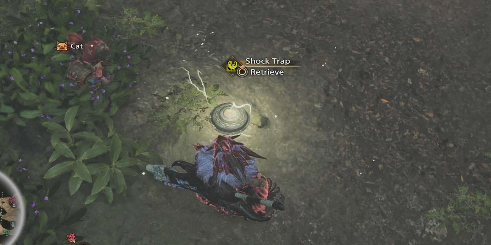 Monster Hunter Wilds: 10 Things The Game Doesn't Tell You