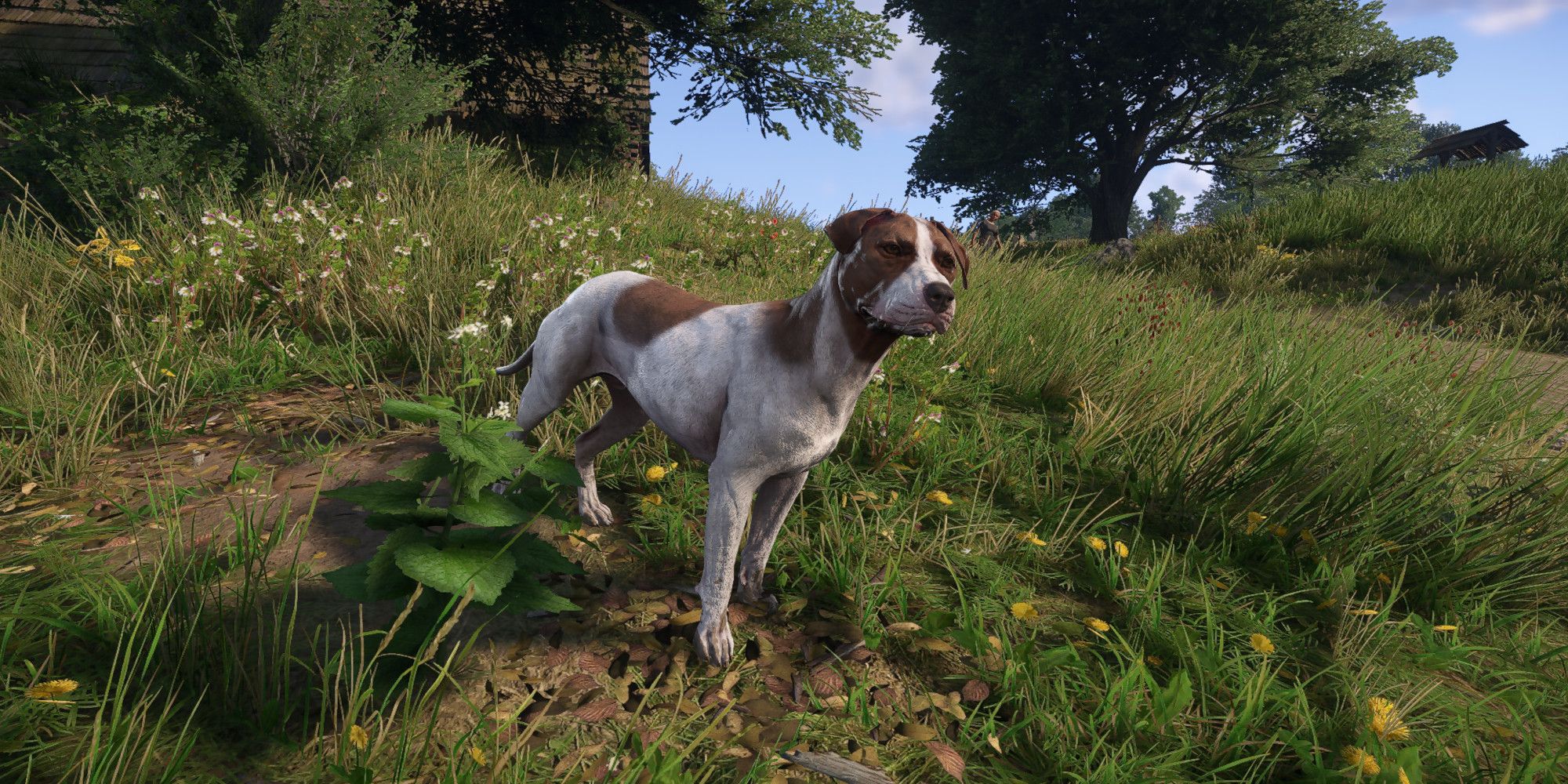 Kingdom Come Deliverance 2: 10 Best Characters