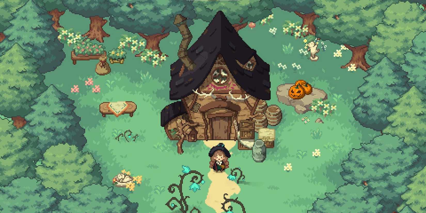 10 Best Games Where You Play As A Witch