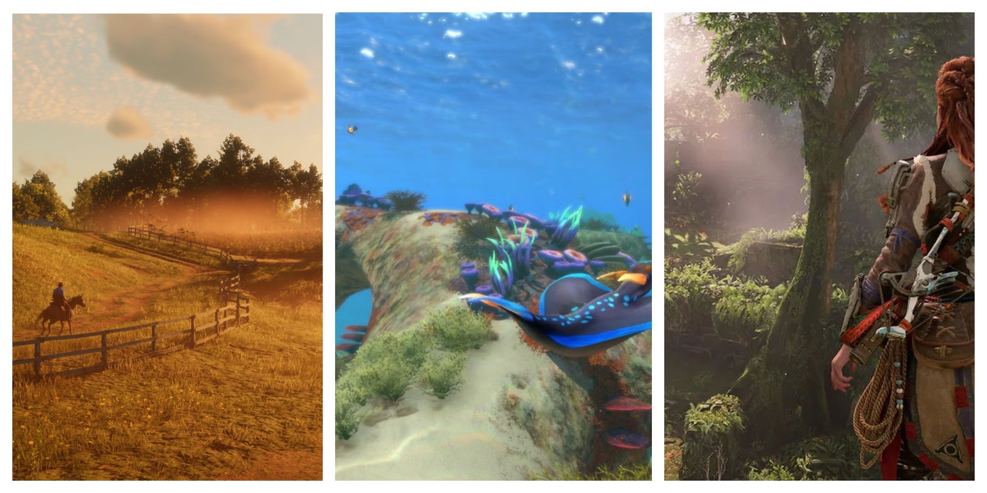 10 Video Games With Rich Ecosystems