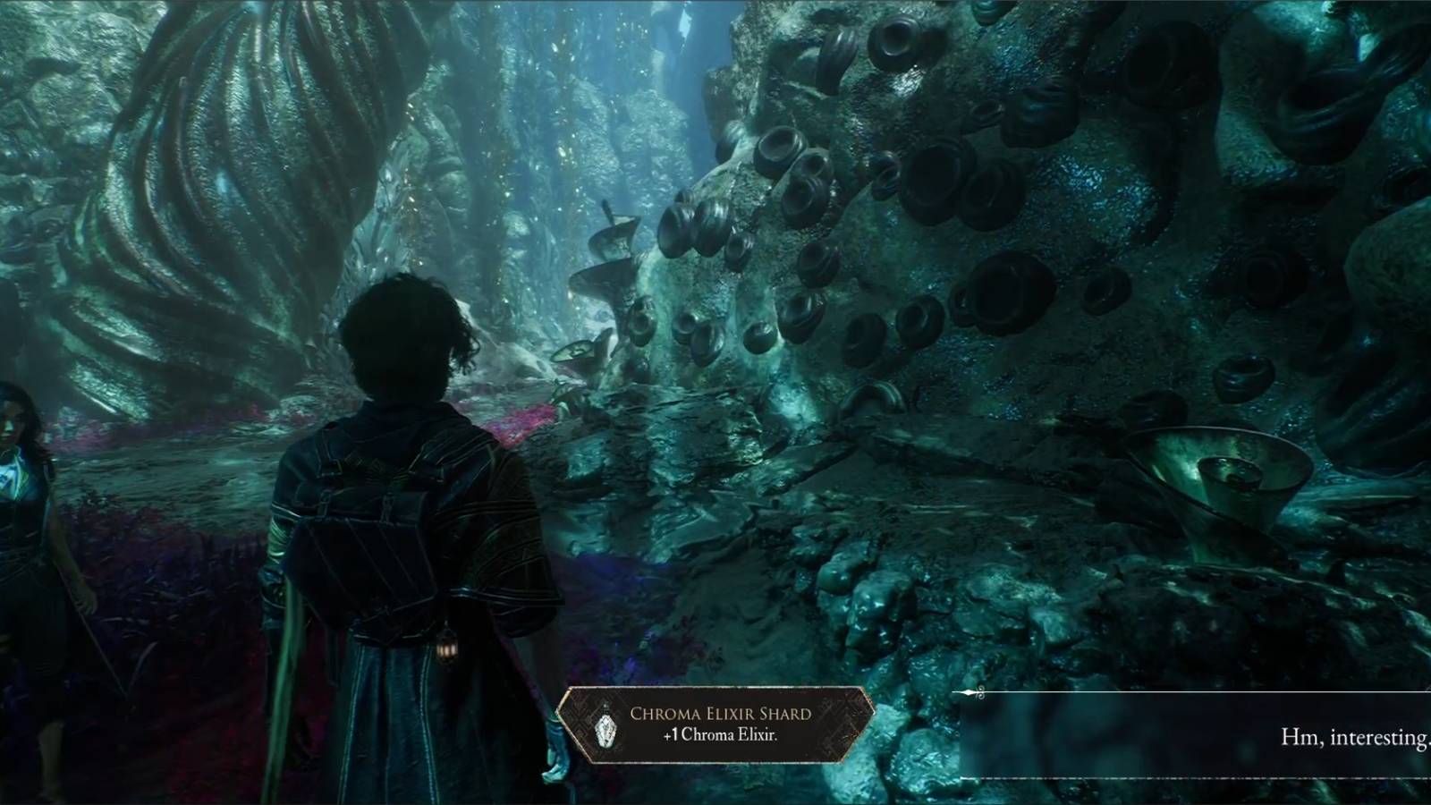 Clair Obscur: Expedition 33: All Chroma Elixir Locations