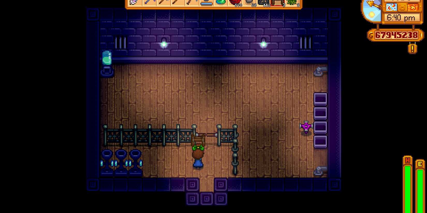 Stardew Valley: Slime Hutch Complete Guide