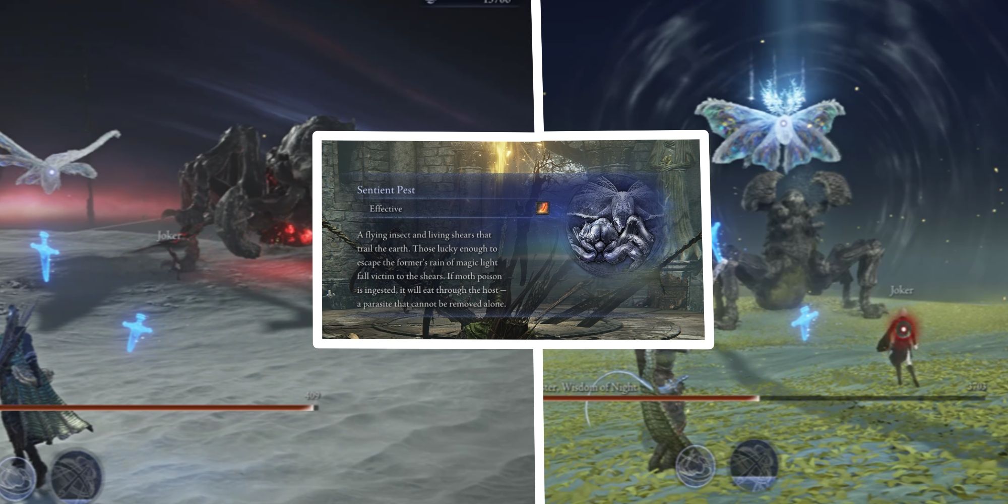 Elden Ring Nightreign: Sentient Pest Raid Guide