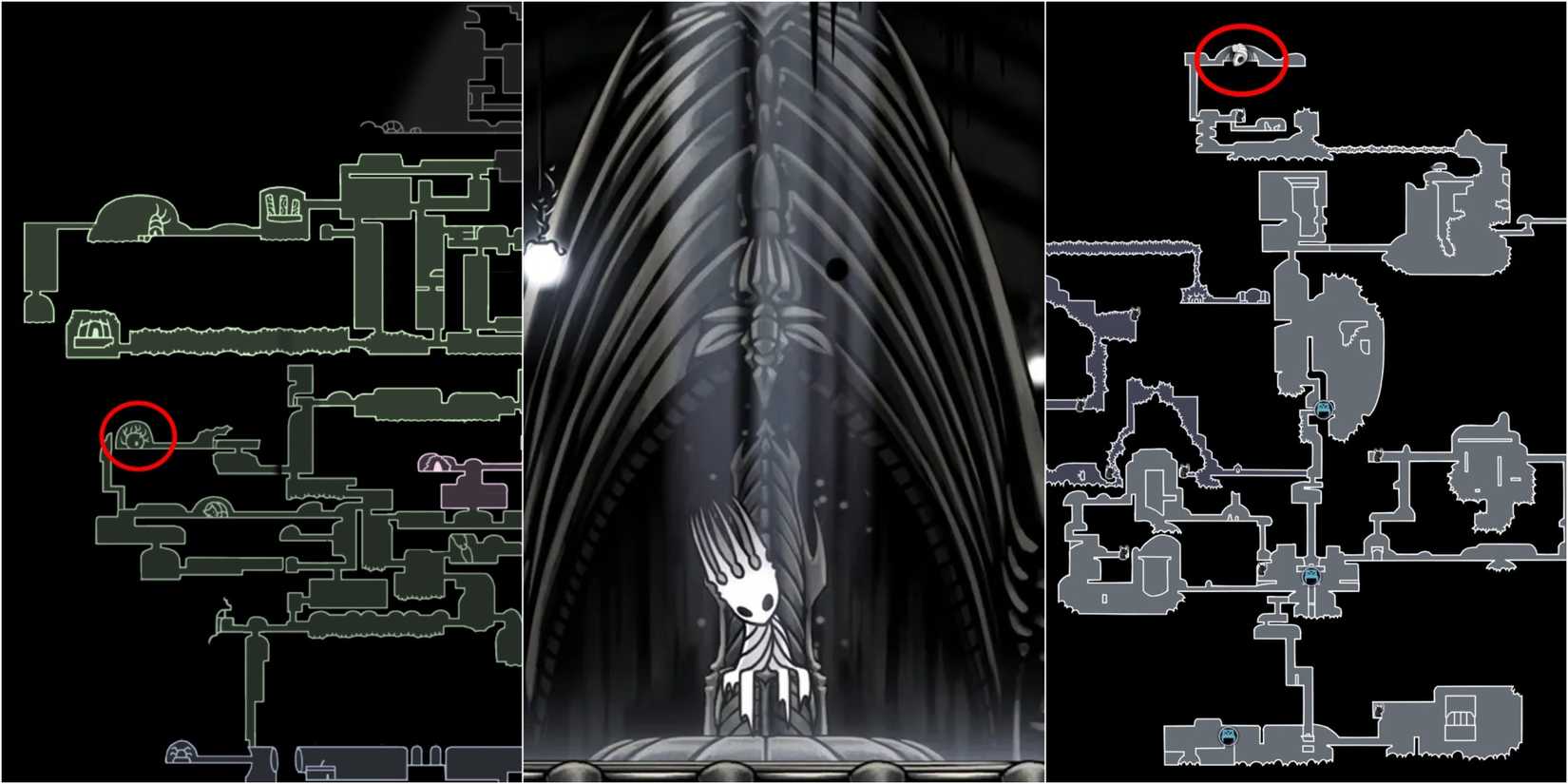 Hollow Knight: All Charm Locations