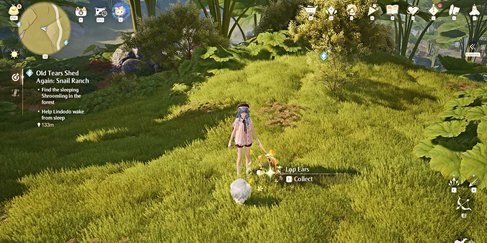 How to Gather All Itzaland Plants in Infinity Nikki