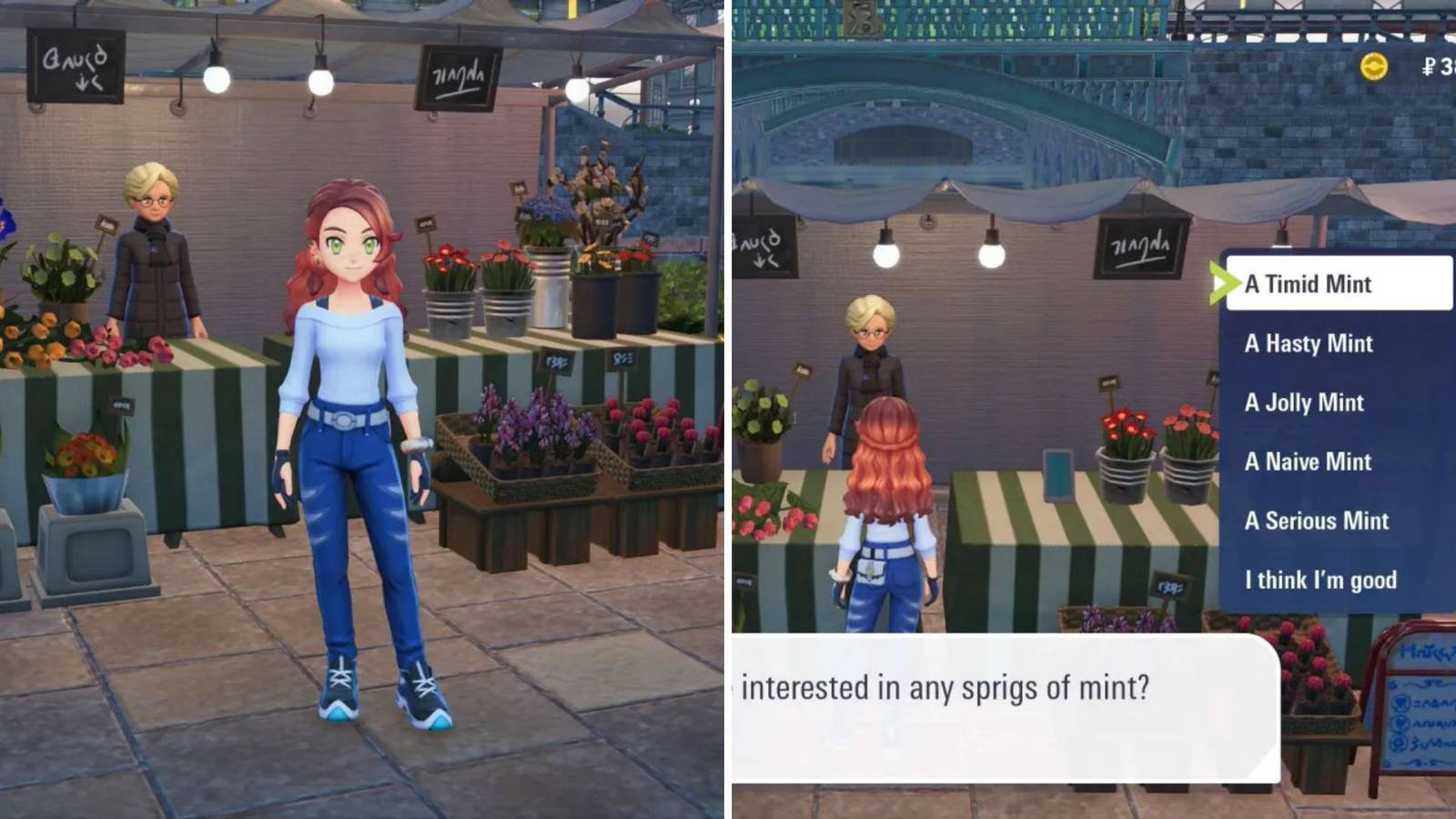 Where to Buy Mints in Pokémon Legends: Z-A