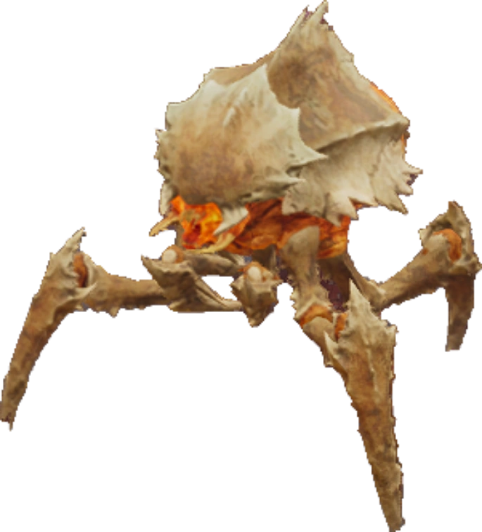 Helldivers 2: How To Beat Every Terminid Enemy Type