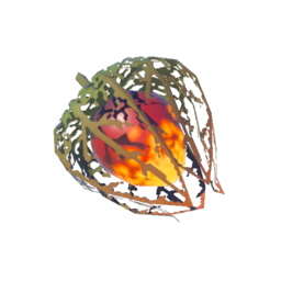 Tears Of The Kingdom – All Fruit Types And Their Locations