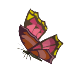 Tears Of The Kingdom - All Elixir Recipes, Ranked