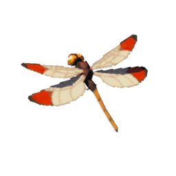 Tears Of The Kingdom - All Elixir Recipes, Ranked