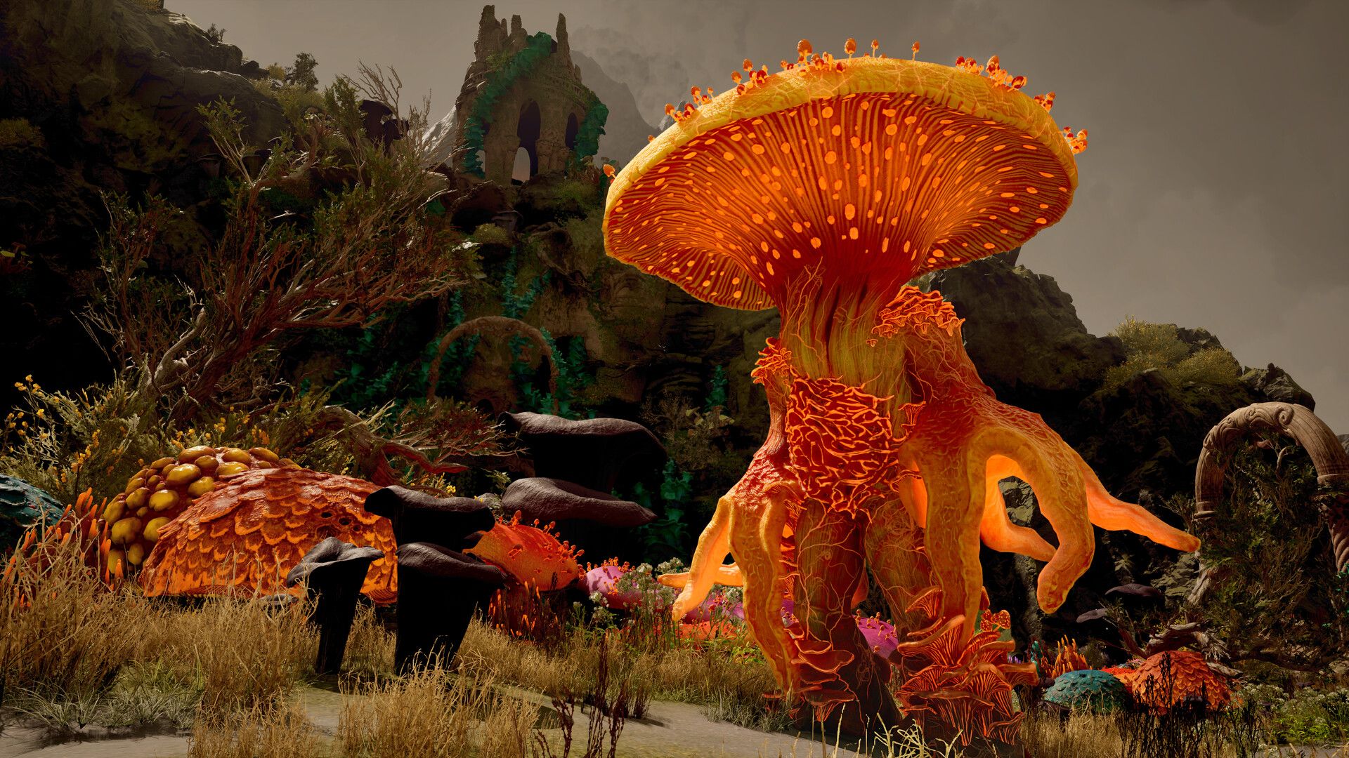 Avowed: Should You Give The Relic To Oracle Sargamis?