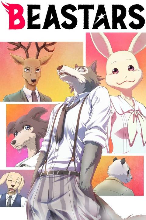 Best Anime By Toho Animation, Ranked