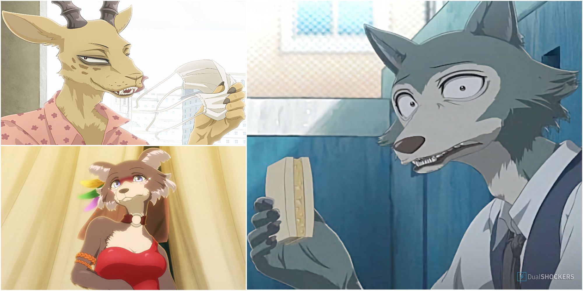Beastars: 10 Best Characters, Ranked