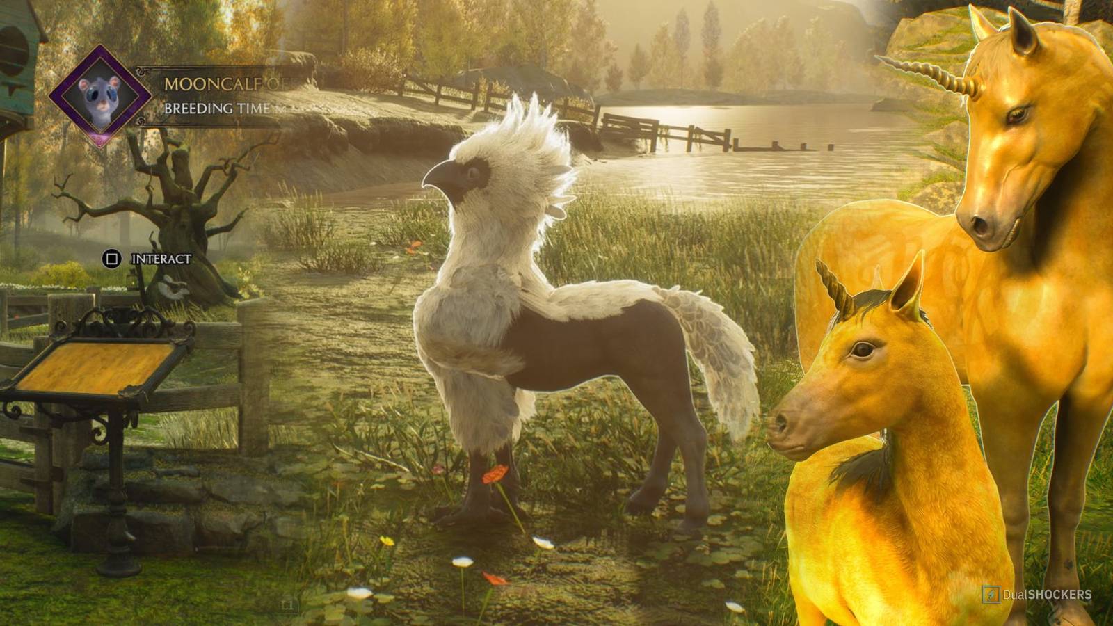 Hogwarts Legacy: How To Breed Beasts