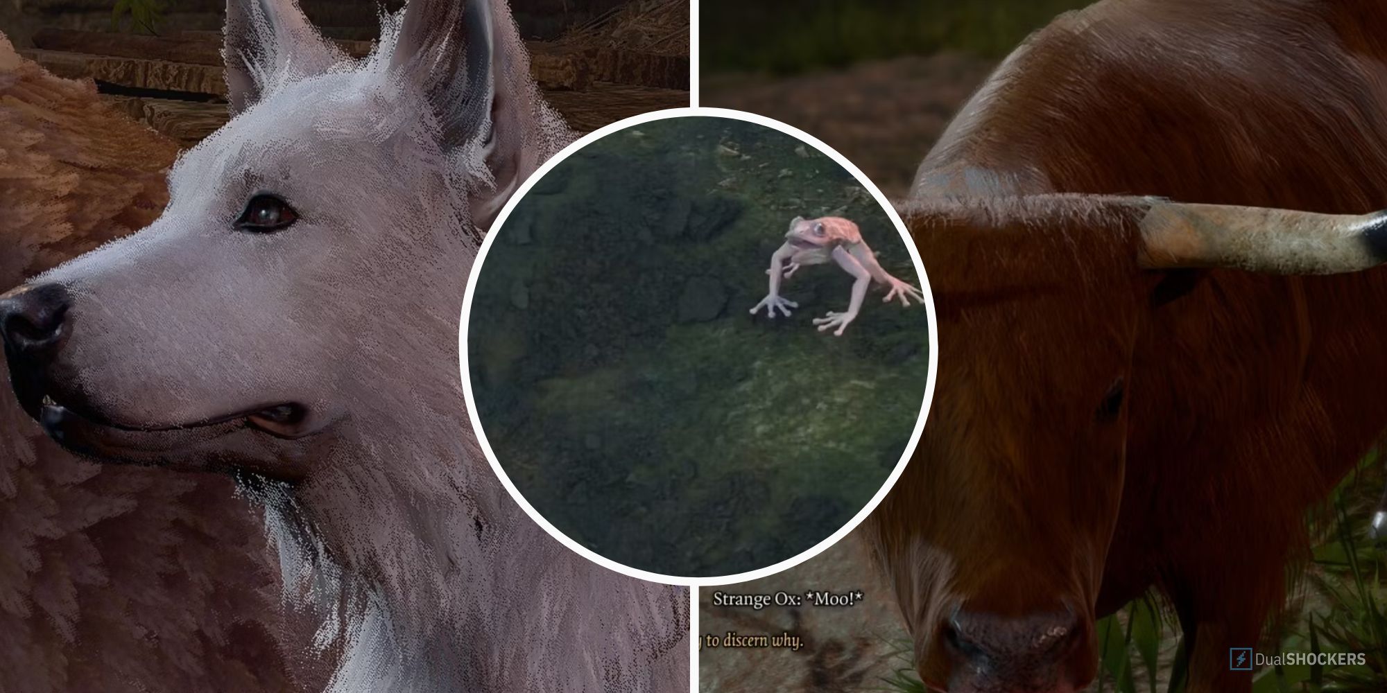 Baldur's Gate 3: Who Is Withers?