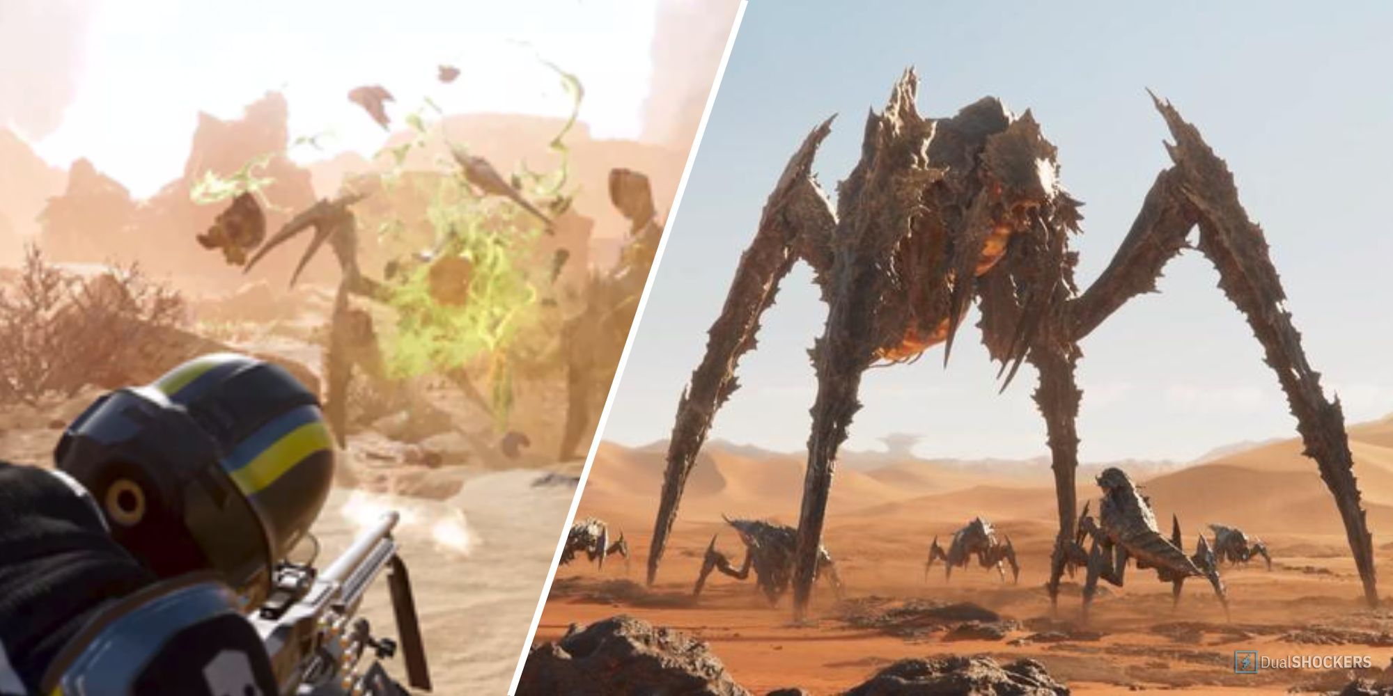 Helldivers 2: How To Beat Every Terminid Enemy Type