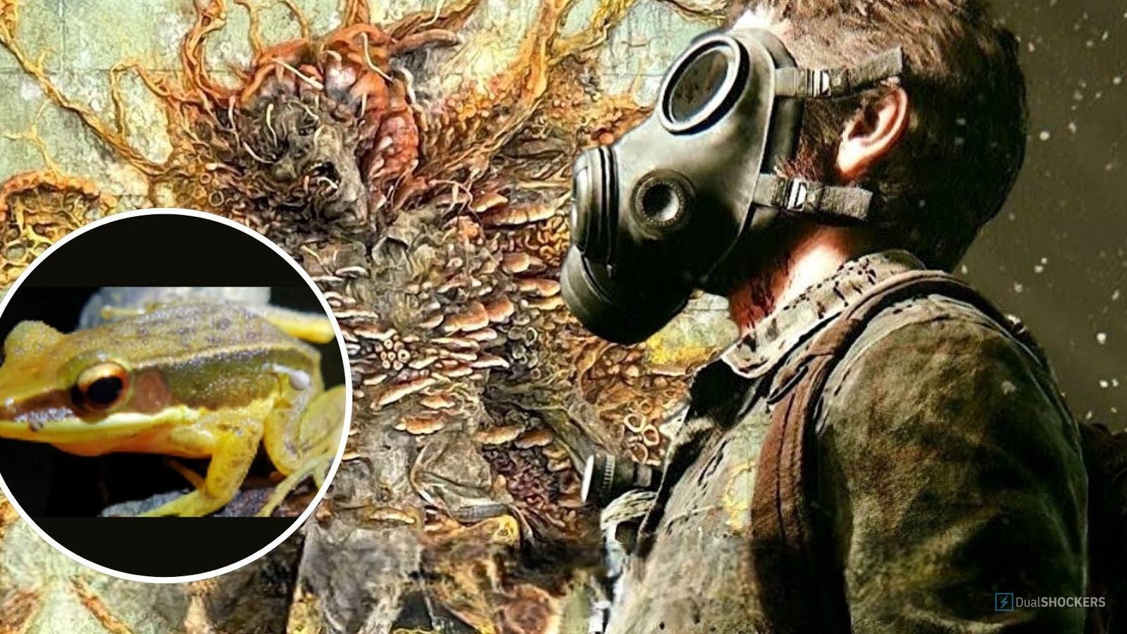 "It's Happening" - Last of Us Fans Panicked After Frog Found Sprouting ...