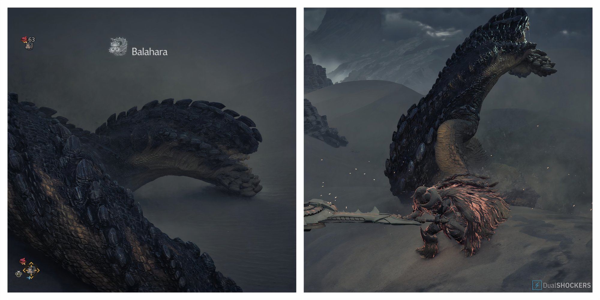 Monster Hunter Wilds: How to Defeat Balahara