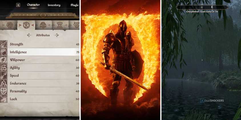 Oblivion Remastered: How To Level Up